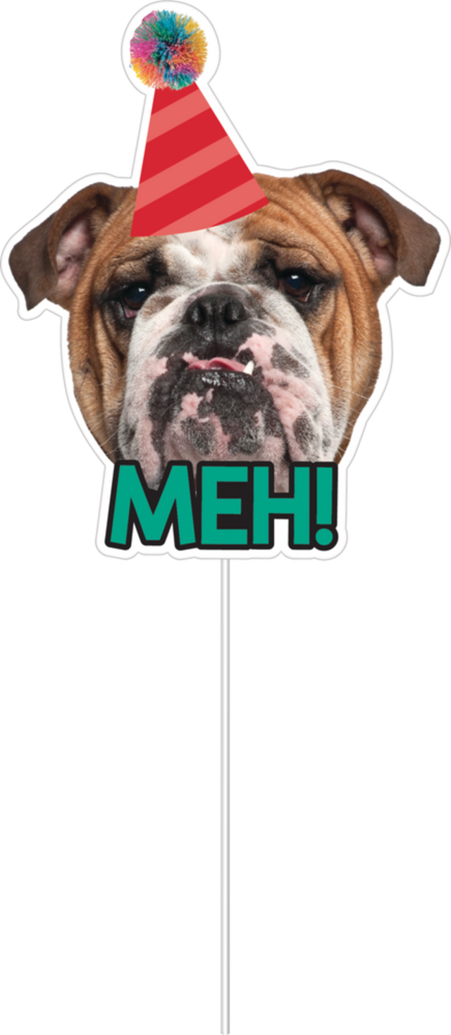 Over the Hill Photo Booth Props, 13-pc | Canadian Tire