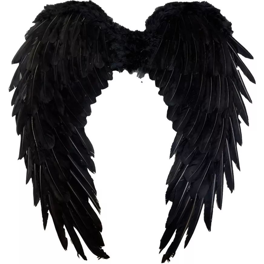 Black Feather Wings | Party City