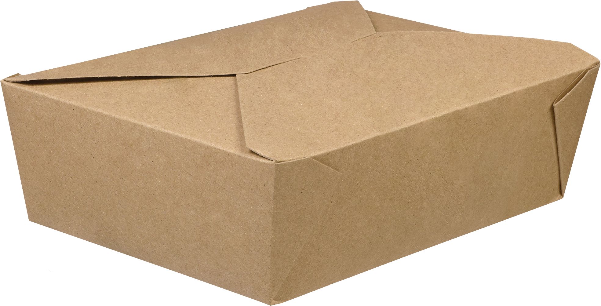 Kraft Take Out Containers, Tan,6-in, 5-pk, for Christmas/Thanksgiving ...