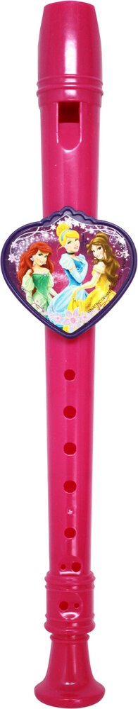 Disney Princess Flute Recorder | Party City