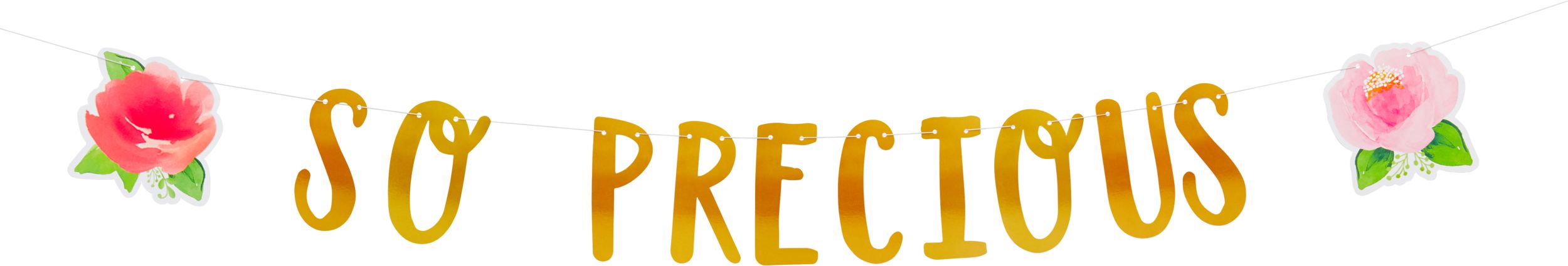 Floral Baby "So Precious" Hanging Garland Banner Decoration, Gold/Pink, 8.5-ft, 2-pk, for Baby ...