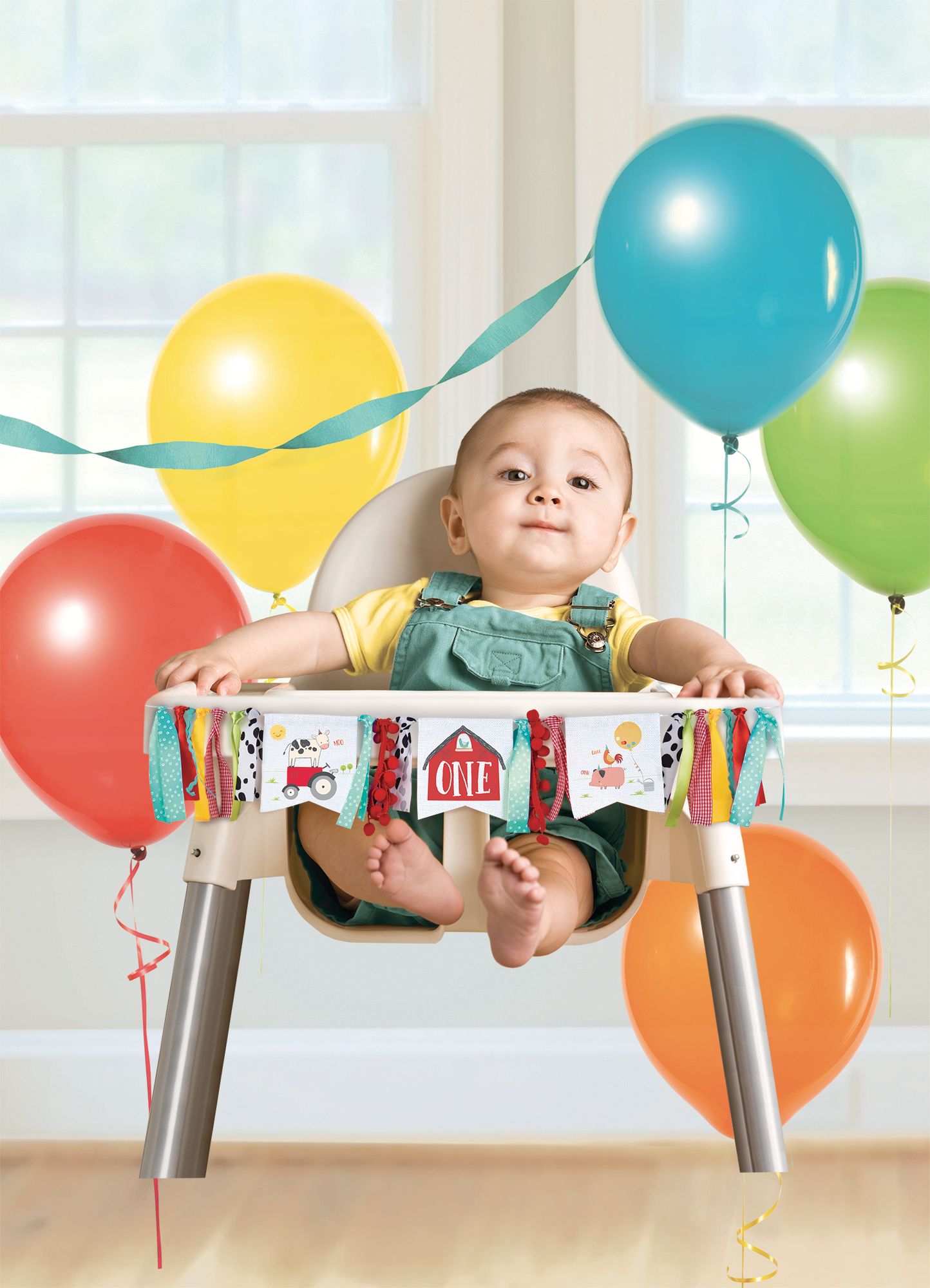 Friendly Farm High Chair Birthday Party Pennant Banner | Party City