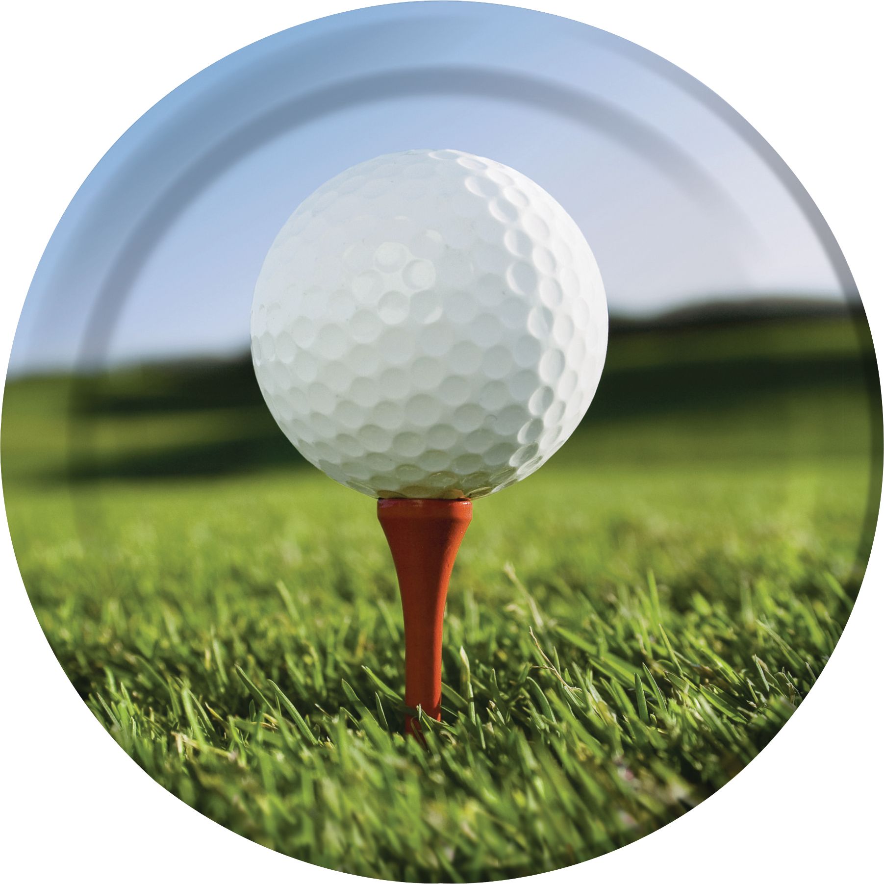 Golf Round Paper Disposable Lunch Plates, Green/White, 9-in,8-pk, for ...