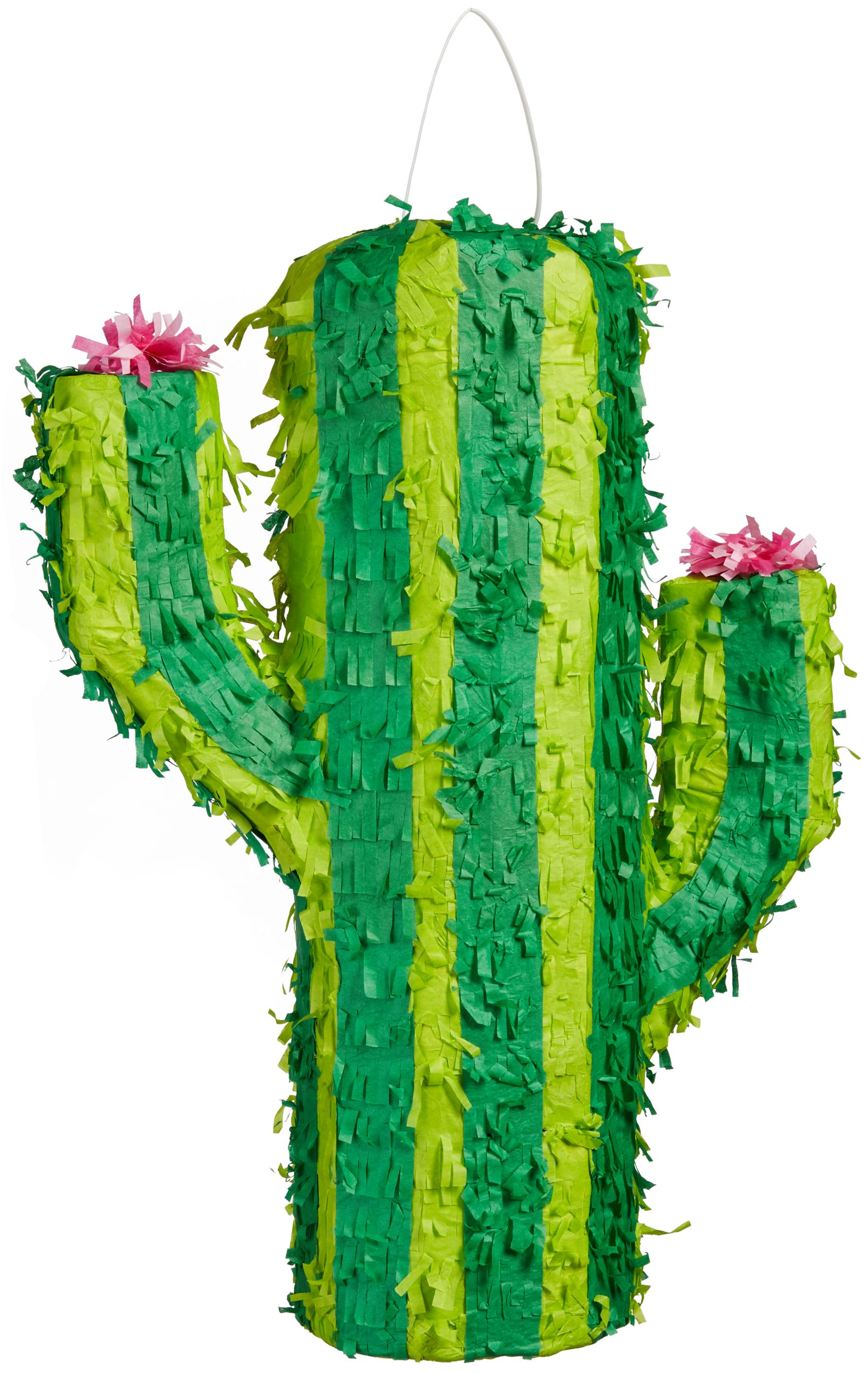 Cactus Pinata Hanging Decoration, Green, 17.5-in, Holds 2lb of Pinata ...