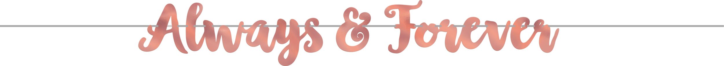 "Always & Forever" Hanging Garland Banner Decoration, Rose Gold, 12-ft ...