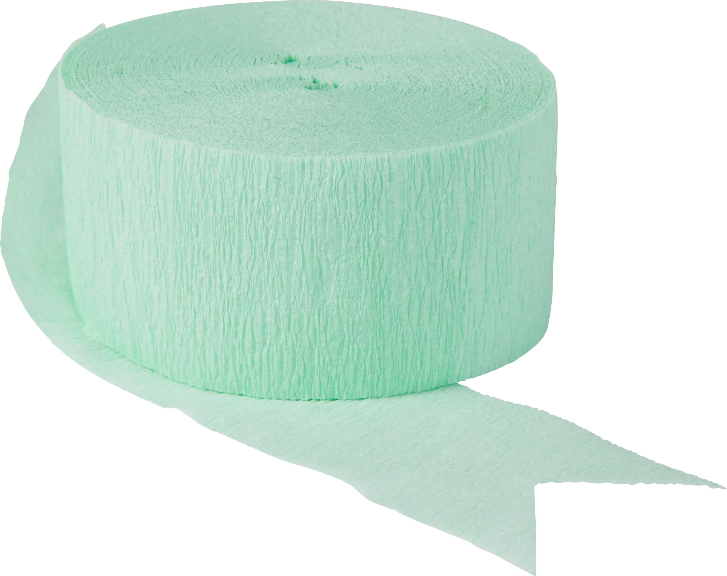 Hanging Crepe Paper Streamer Decoration, Mint Green, 81-ft, for Wedding ...