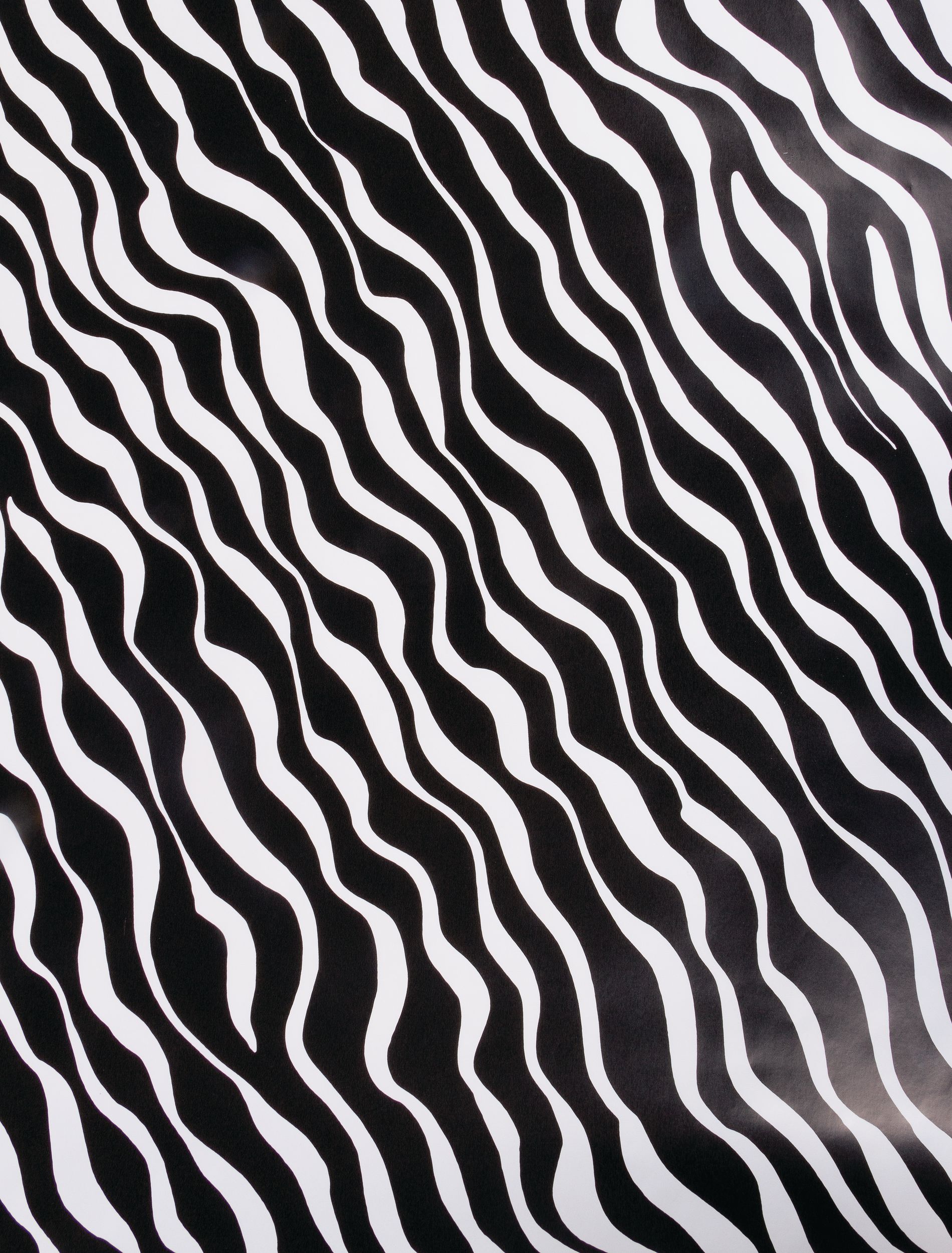 Jumbo Zebra Gift Wrap | Party City