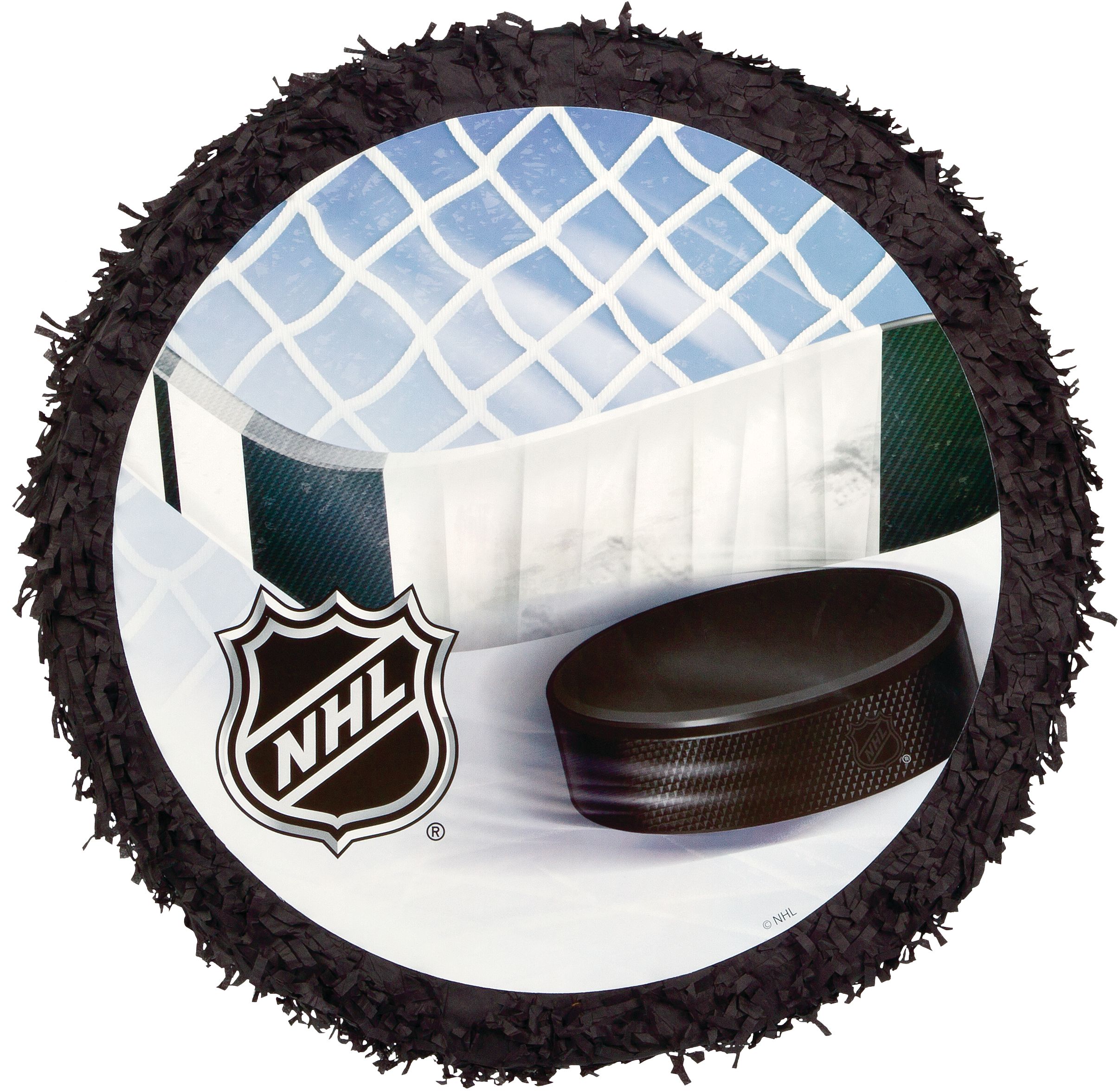National Hockey League NHL Pinata Hanging Decoration, Black/White, 18 ...