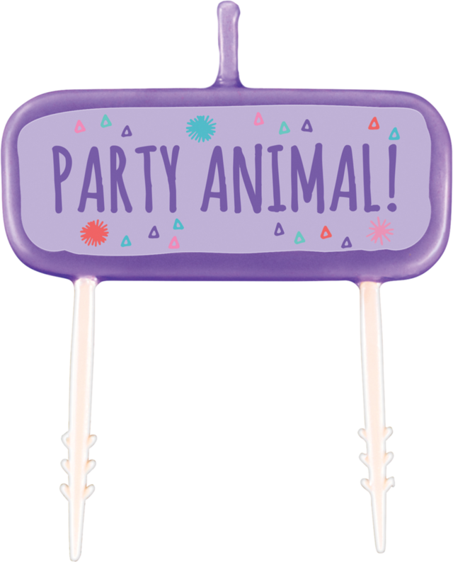 Llama Fun Birthday Candles, 4-pk | Canadian Tire