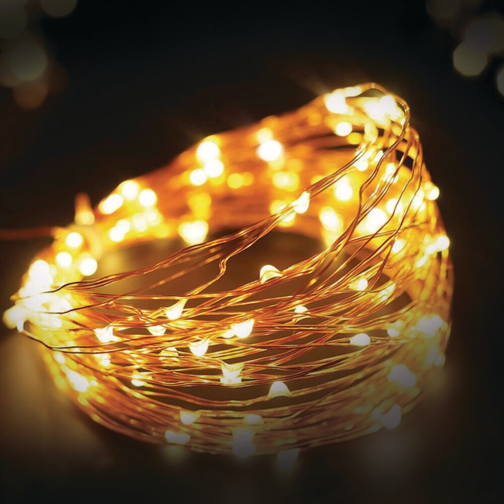 Copper Wire Warm White LED String Lights | Party City