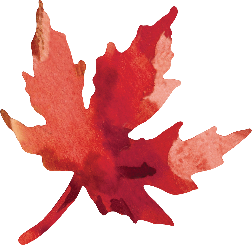 "Thankful Greatful Blesses" Turkey Leaves & Pumpkin Paper Cutouts ...