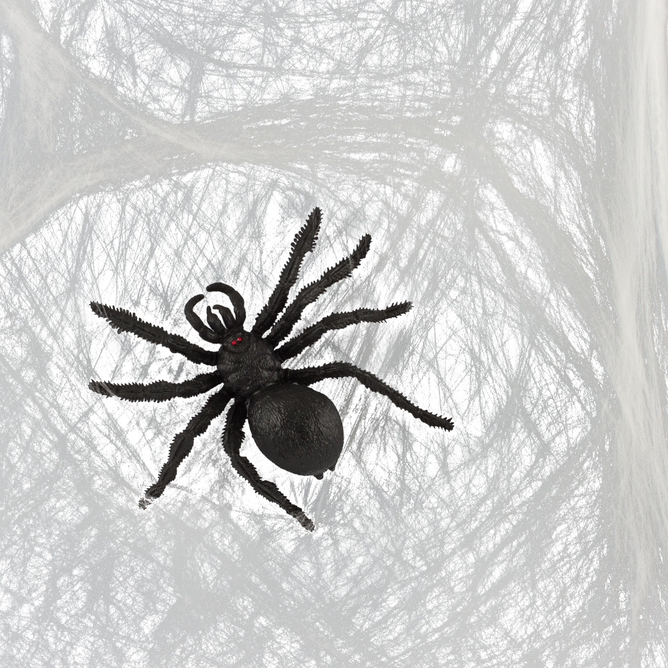 Spider Web Prop, Black, 6.5-in, Indoor/Outdoor Decoration for Halloween ...