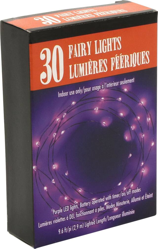 LED Light-Up Fairy Lights, Purple, 9.6-ft, Indoor/Outdoor Decoration ...