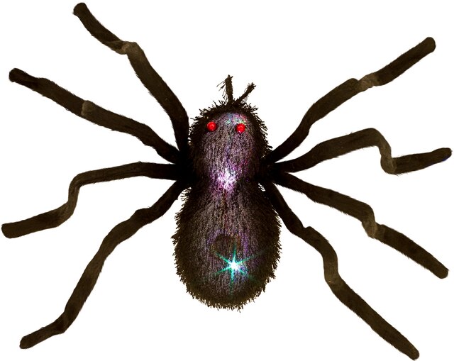 Spider Light-Up Prop with Batteries, Black Colour Changing, 16-in ...