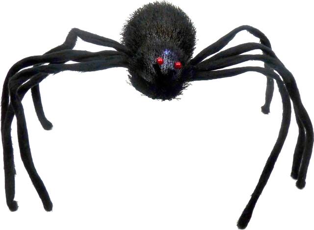 Spider Light-Up Prop with Batteries, Black Colour Changing, 16-in ...