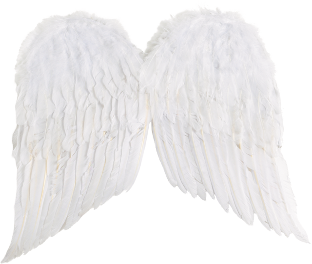 Classic Angel Feather Wings, White, One Size, Wearable Costume ...