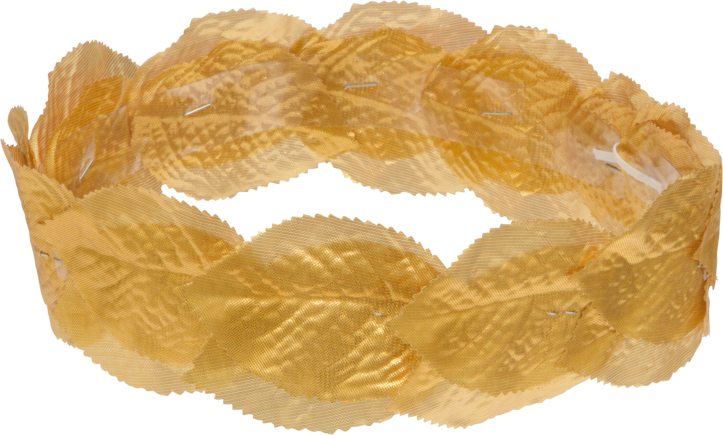 Roman Wreath | Party City