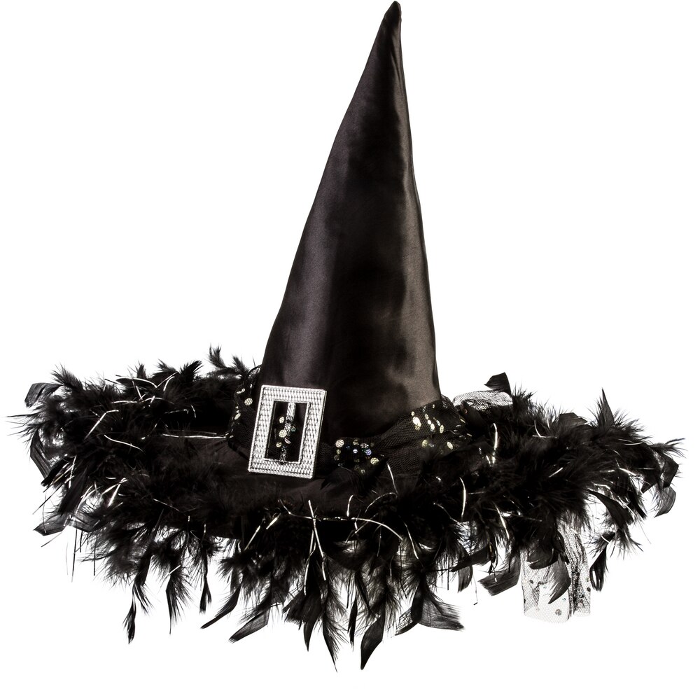 Fashion Witch Hat | Party City
