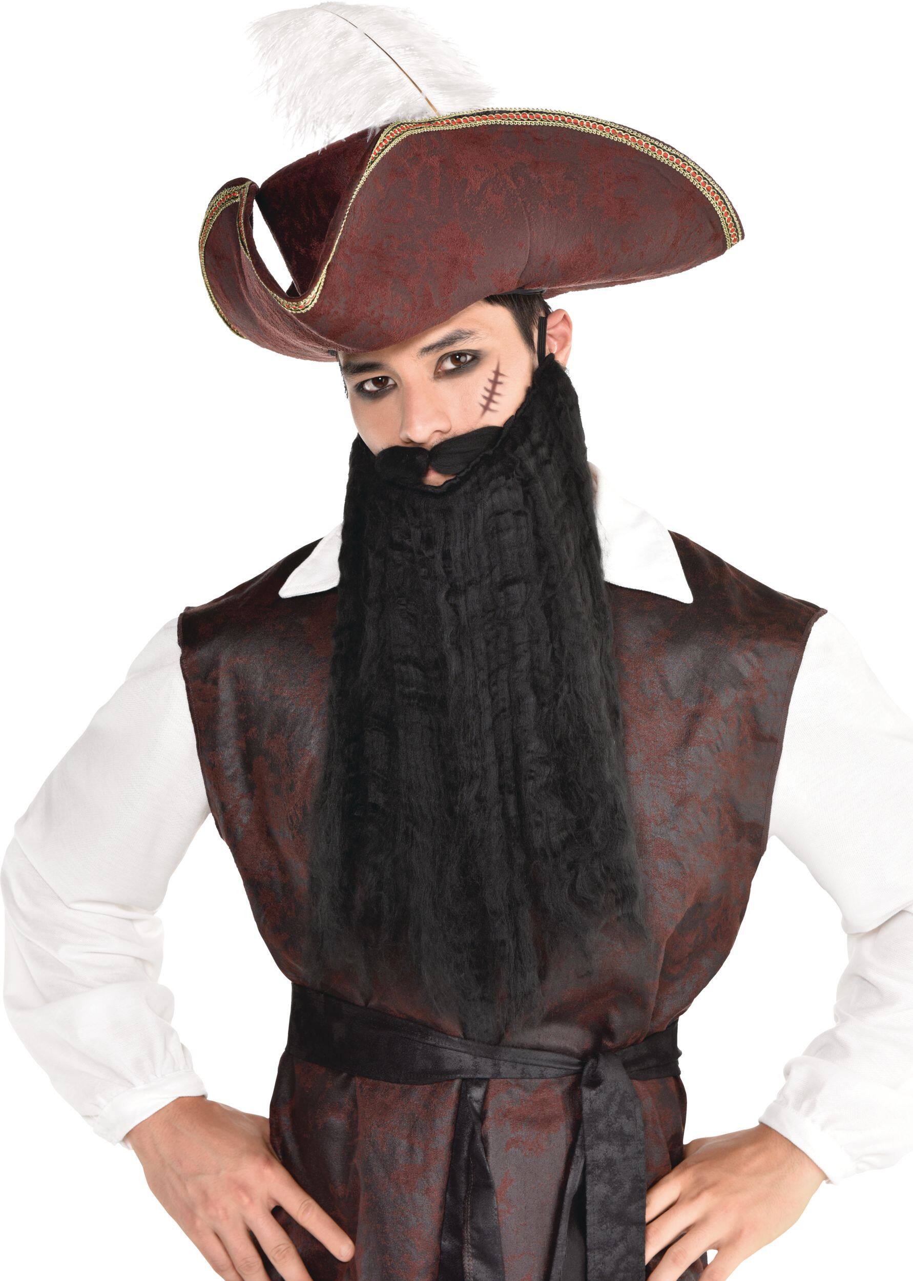 Pirate Long Hair Facial Hair Beard, Black, One Size, Wearable Costume ...