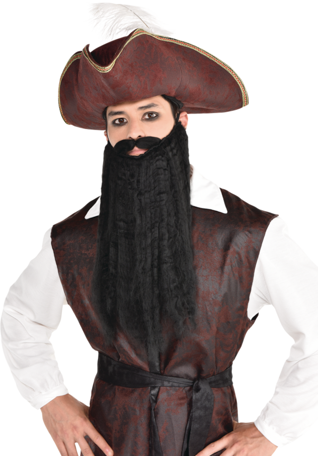 Pirate Long Hair Facial Hair Beard, Black, One Size, Wearable Costume ...