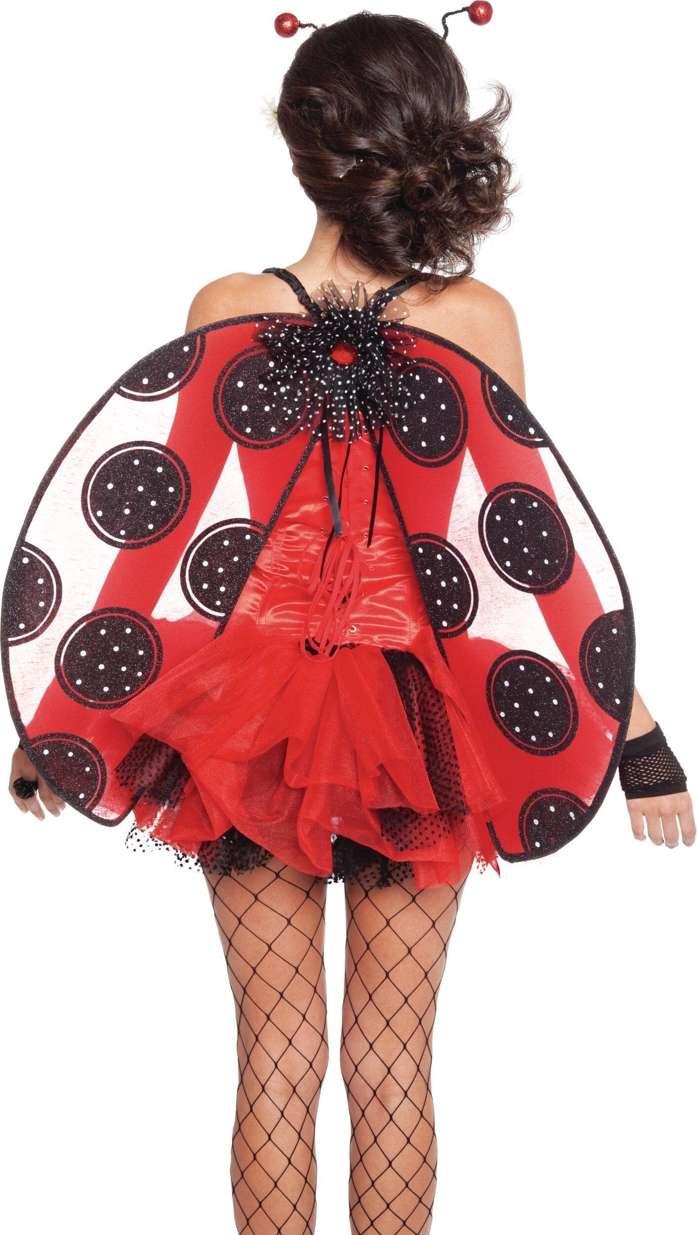 Ladybug Wings, Red/Black, One Size, Wearable Costume Accessory for ...
