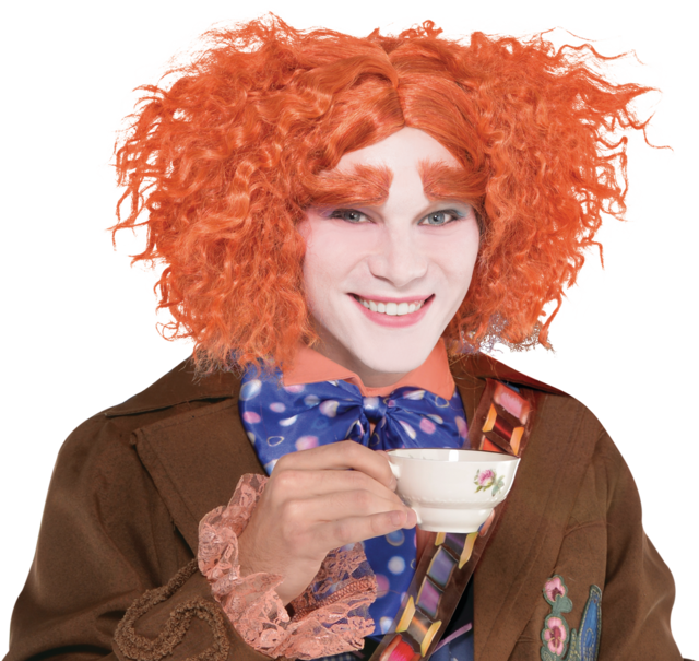 Disney Alice In Wonderland Mad Hatter Wig And Eyebrows Kit Orange One