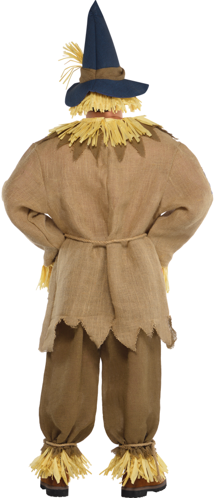 Men's Scarecrow Brown Tunic with Pants/Hat/Belt Halloween Costume ...