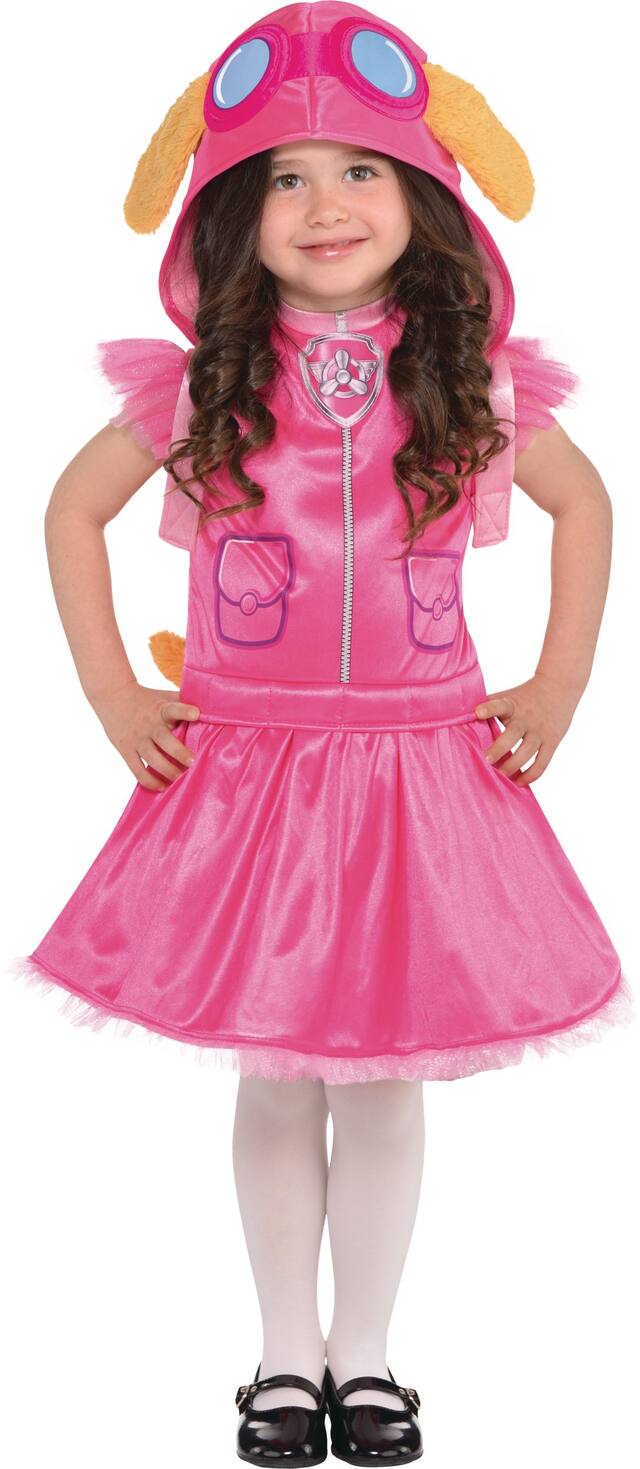 Kids' Nickelodeon PAW Patrol Skye Pink Dress with Hat & Backpack ...