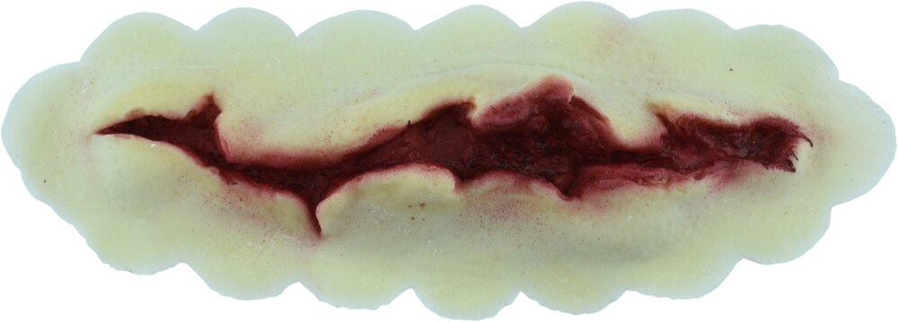 Fake Large Open Wound Prosthetic, Red, One Size, Wearable Costume ...