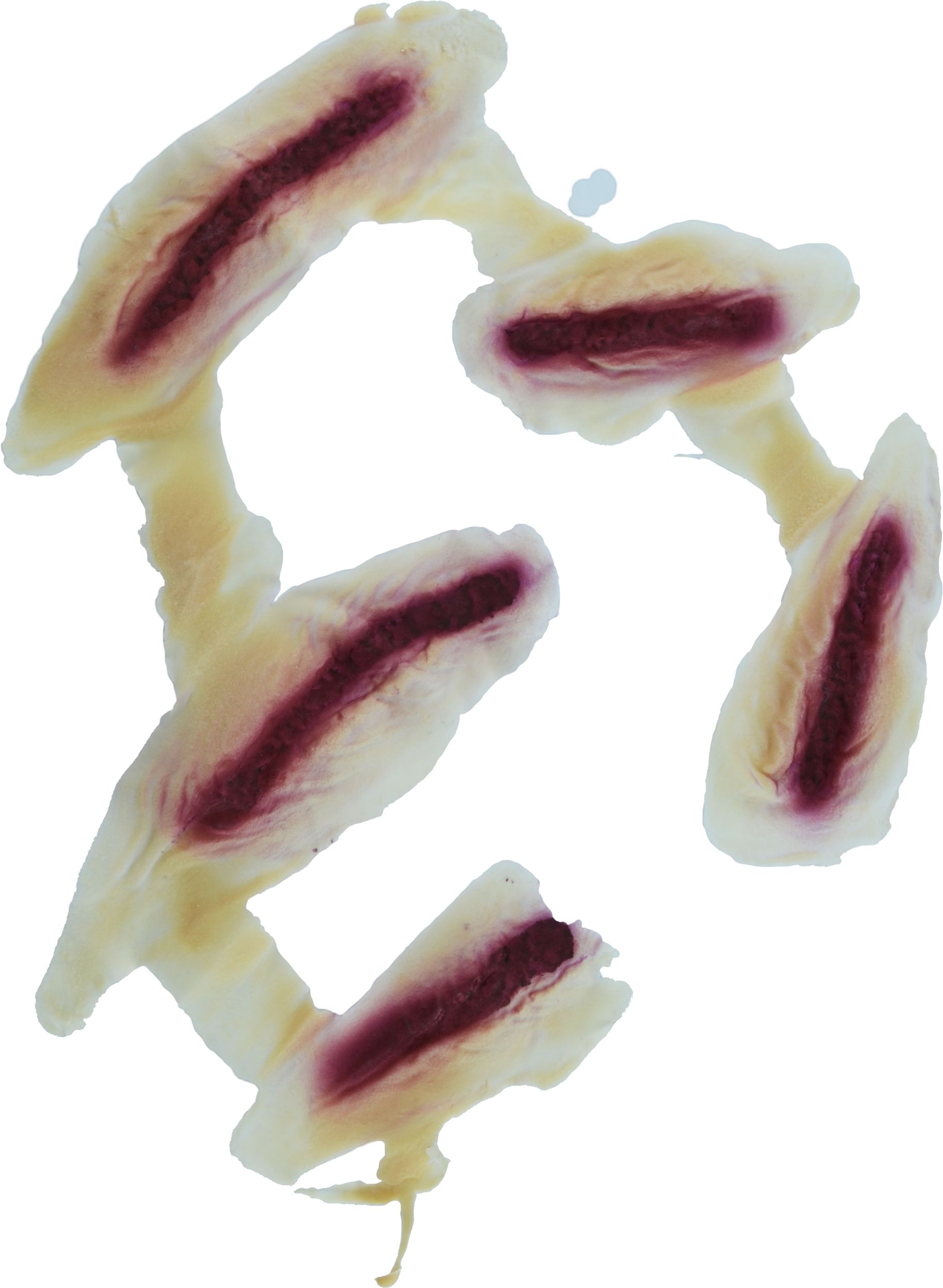 Fake Face Cuts Prosthetics, Red, One Size, 5-pk, Wearable Costume ...