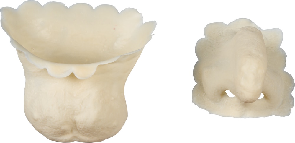 Witch Prosthetic Nose & Chin Set, Adult | Party City