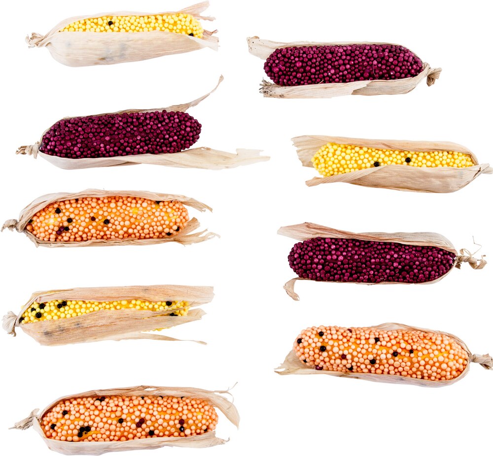 Harvest Corn Ears, Multi-Coloured, 5-in, 9-pk, Indoor Decoration for ...
