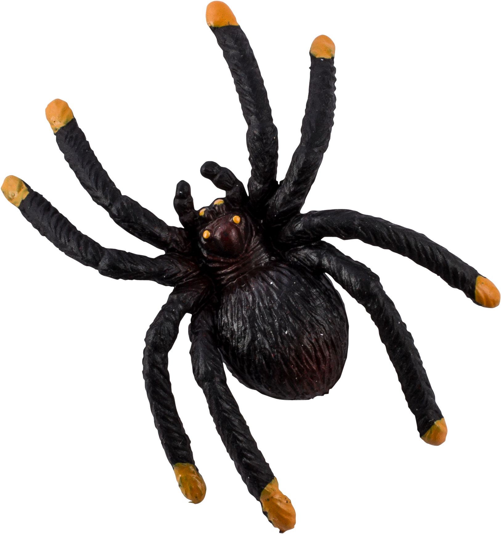 Plastic spiders party city store