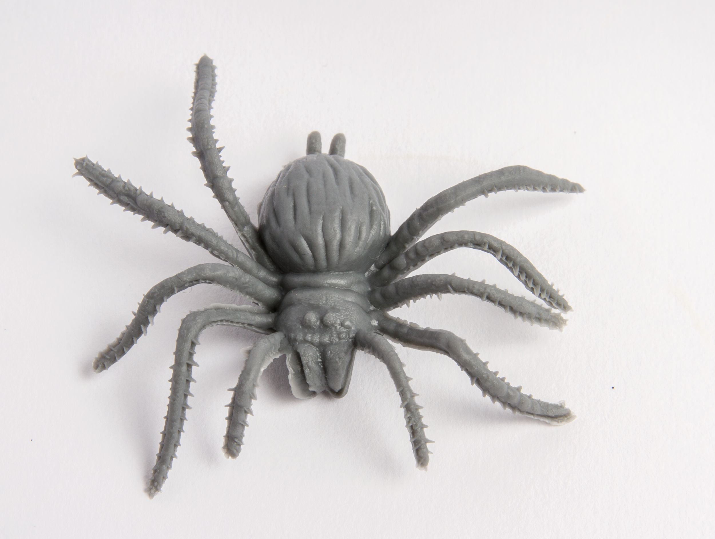 Spider Plastic Favour Props Black Brown 3 in 28 pk for Halloween Party City