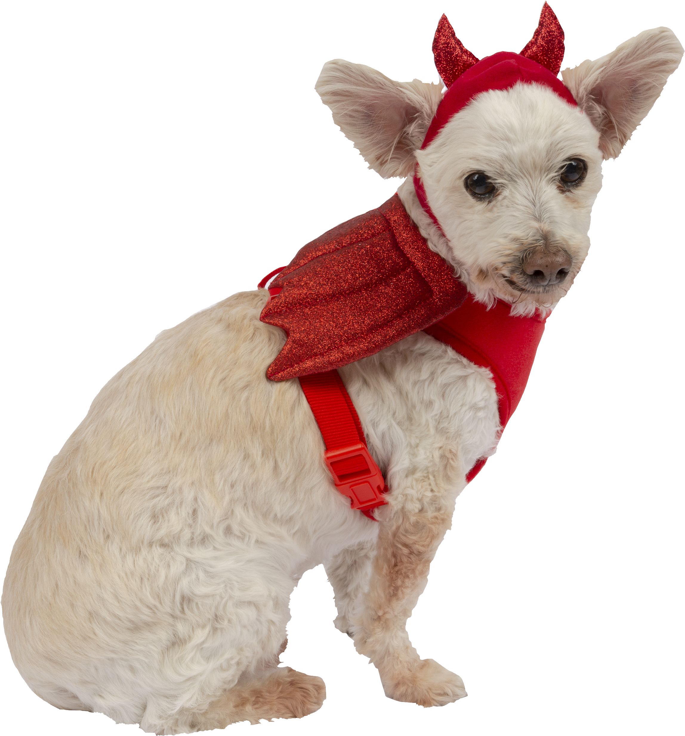 Red Devil Wing Harness with Horns, Extra Small/ Small | Party City