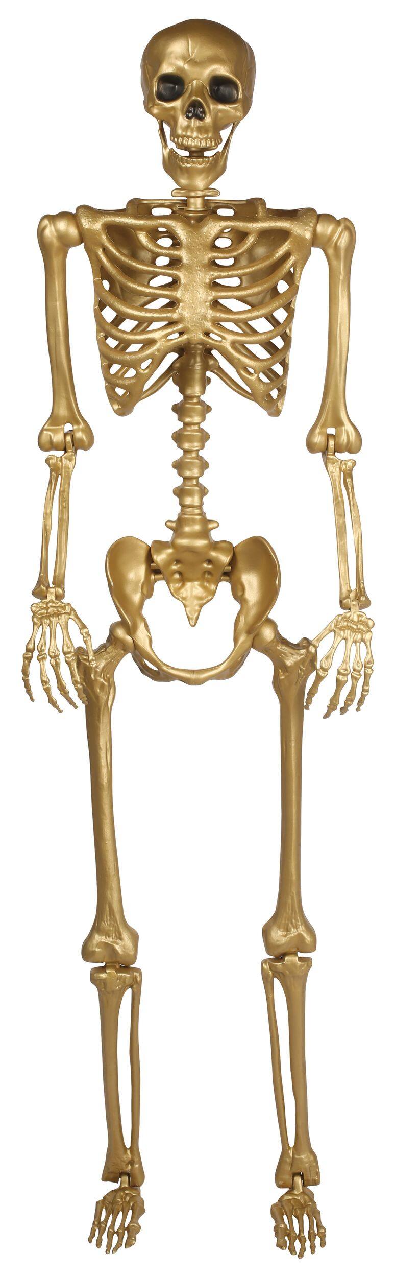 Skeleton Realistic Life-Size Human Prop, Gold, 60-in, Indoor/Outdoor ...