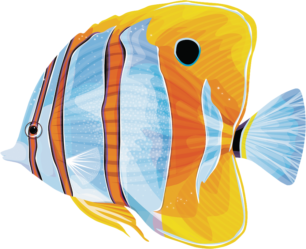 Sea Life Cutouts, 30-pc | Party City