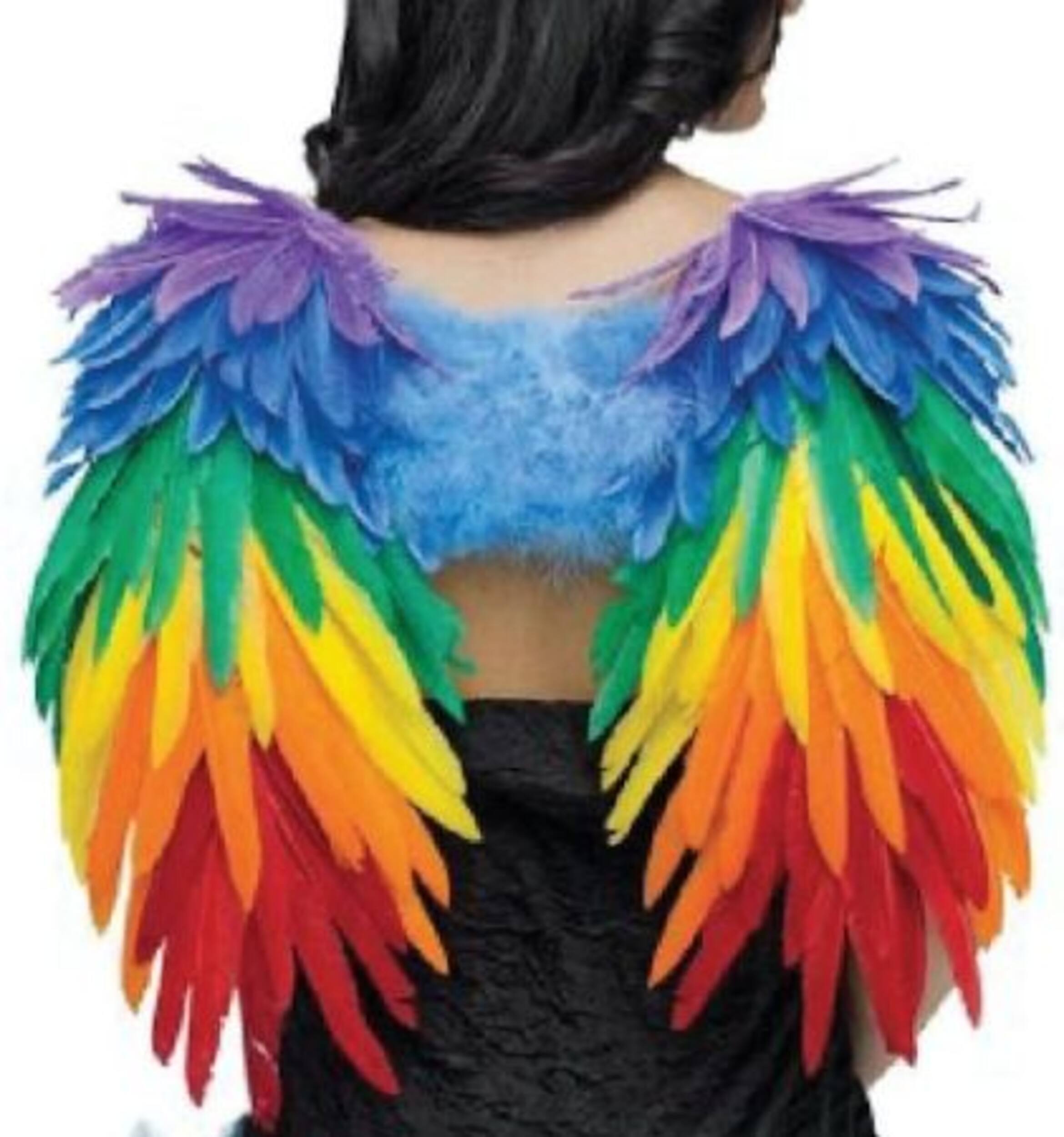 Pride Rainbow Feather Wings, Multicolor, One Size | Canadian Tire